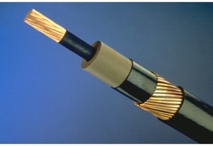 Wet design cable for utility industry